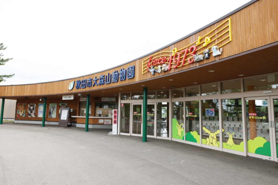 大森山動物園開園50周年のお祝いに合板をプレゼント！ | 秋田県就活情報サイト Kocchake! (こっちゃけ)