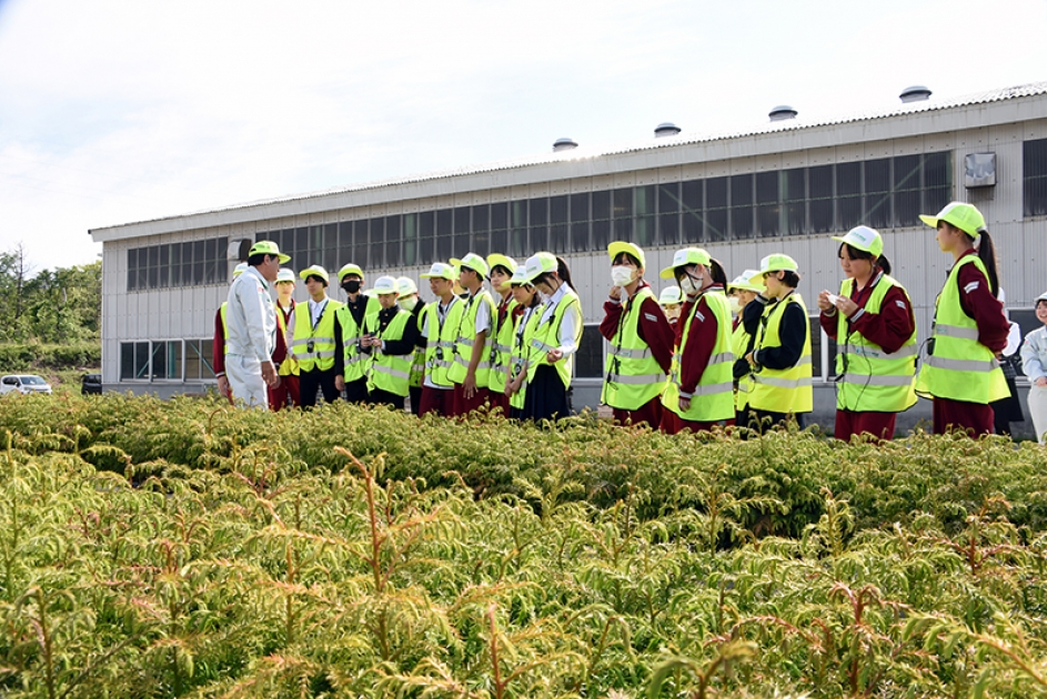 能代市立能代第二中学校、秋田林業大学研修生が向浜工場を見学 | 秋田県就活情報サイト Kocchake! (こっちゃけ)